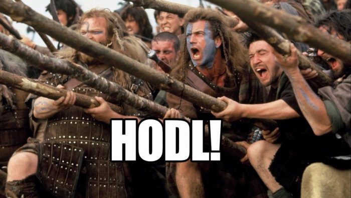 How the HODL Meme Reveals the Truth About Bitcoin - Fintechs.fi
