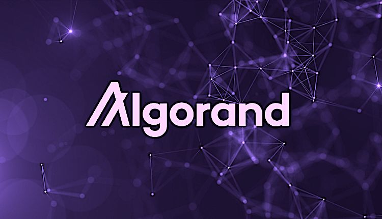 Algorand Foundation Appoints Ex-JPMorgan Exec as New Chief Executive ...