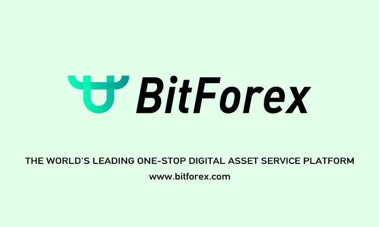 BitForex Exit Scam Sparks New Crypto Community Outrage - Fintechs.fi