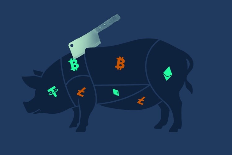 Two Now Arrested in a $73m Pig Butchering Scam - Fintechs.fi