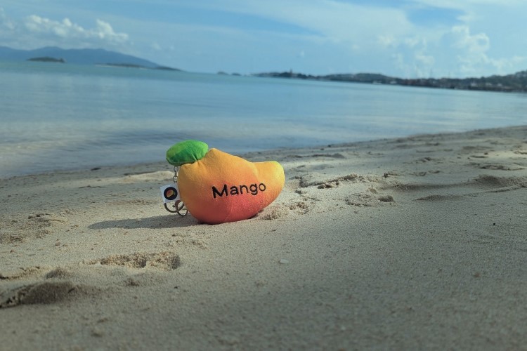 MNGO Tokens to Be Destroyed Following SEC Settlement - Fintechs.fi